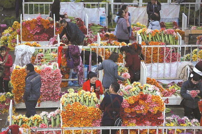 Half Day Private Tour of Kunming Flower Market and Flower Pastry Cooking Class - Discovering Kunming’s Flower Market: a Visual Feast