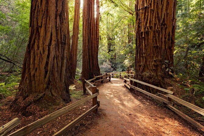 Half-Day Private Tour of Muir Woods & Sausalito from San Francisco - A Practical Review of the Half-Day Private Tour of Muir Woods & Sausalito from San Francisco