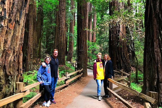 Half-Day Private Tour of Muir Woods & Sausalito from San Francisco - What Travelers Say and Why It Matters