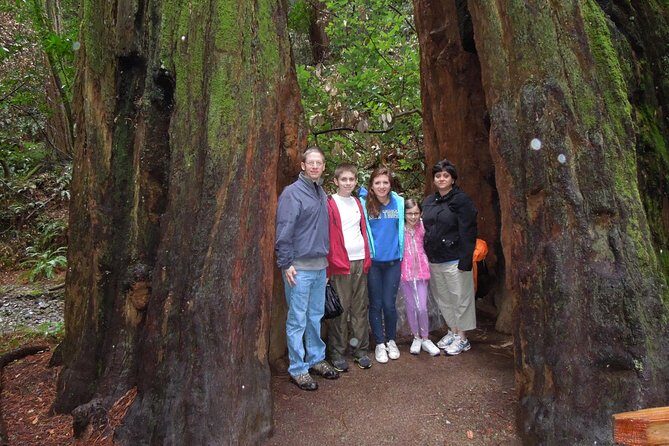 Half-Day Private Tour of Muir Woods & Sausalito from San Francisco - Who Should Consider This Tour?