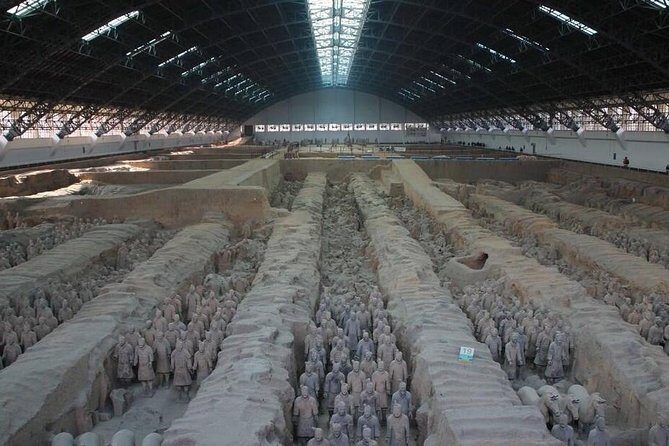 Half-Day Private Tour of Terracotta Warriors and Horses Museum - Introduction