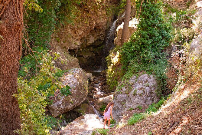 Half-Day Private Tour & Picnic in Real Cretan Countryside Retreat - Frequently Asked Questions