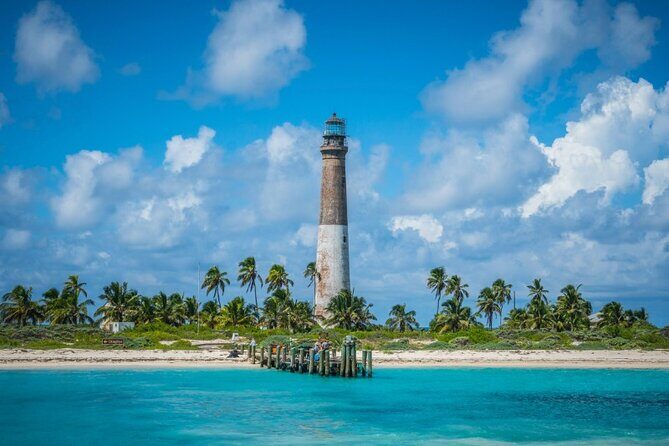 Half Day Private Tour to Islamorada Alligator Reef and Sandbar - Key Points