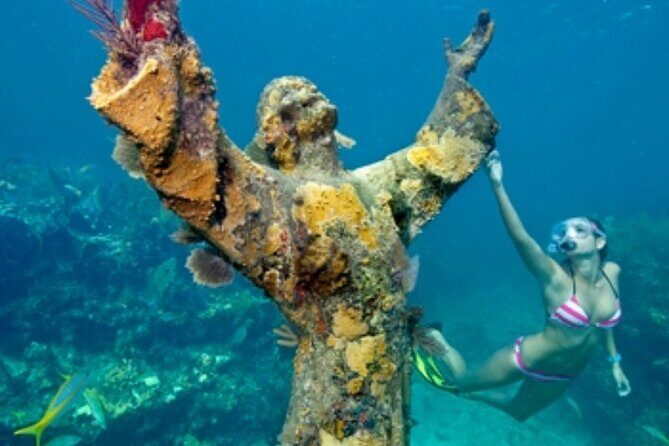 Half Day Private Tour to Islamorada Alligator Reef and Sandbar - Frequently Asked Questions