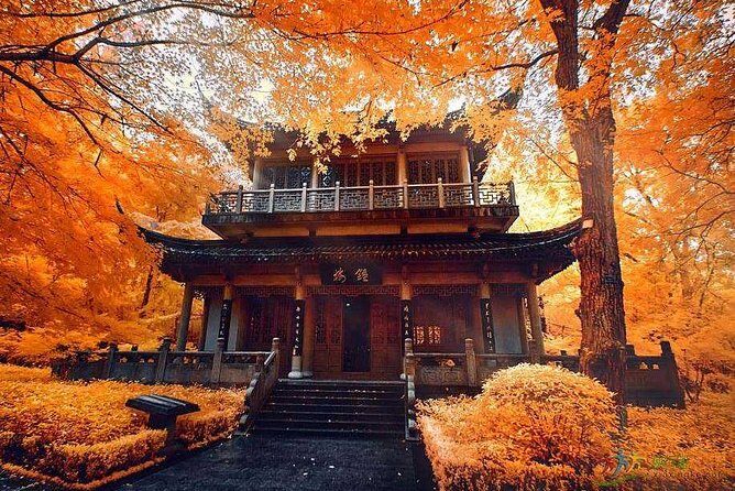 Half-Day Private Tour to Qixia Temple and Swallow Rock in Nanjing - Exploring Nanjing’s Spiritual Heart: A Deep Dive into the Half-Day Private Tour to Qixia Temple and Swallow Rock