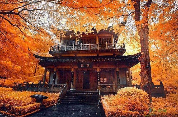 Half-Day Private Tour to Qixia Temple and Swallow Rock in Nanjing - The Value of the Experience