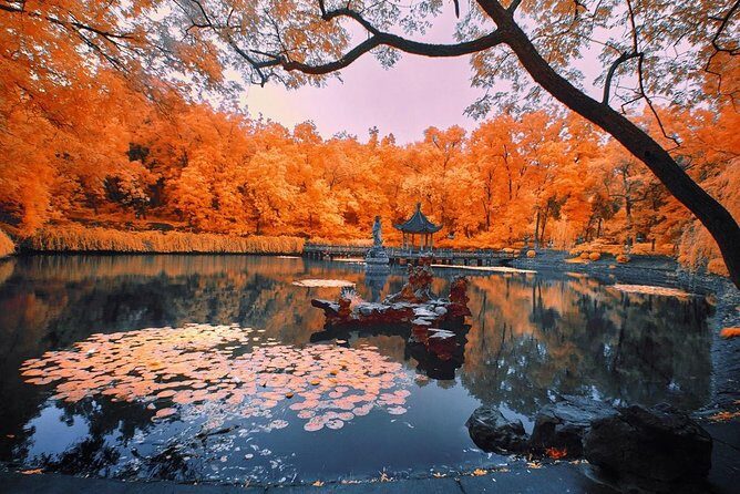 Half-Day Private Tour to Qixia Temple and Swallow Rock in Nanjing - Final Thoughts