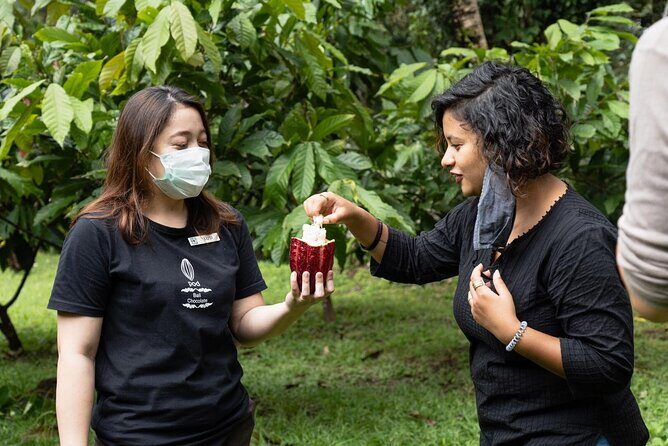 Half-Day Private Tour to Tanah Lot and Bali Royal Temple - Authenticity and Traveler Perspectives