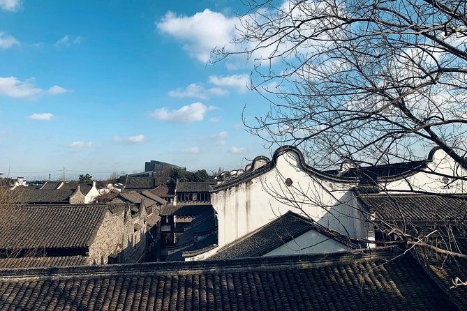 Half Day Private Tour to Wuzhen Water Town with Boat Ride from Hangzhou - Who Will Appreciate This Experience?