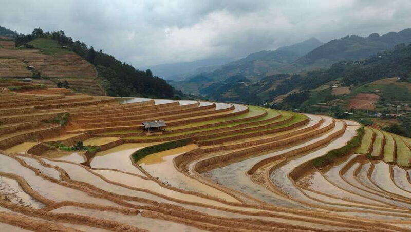 Half Day Private Trekking Mu Cang Chai_Morning or Afternoon - Who Should Consider This Tour?