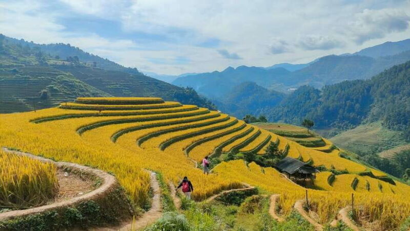 Half Day Private Trekking Mu Cang Chai_Morning or Afternoon - Frequently Asked Questions