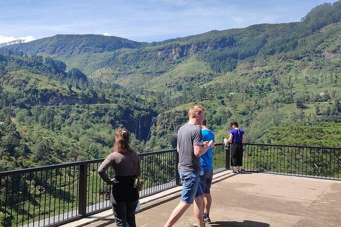 Half-Day Private Trip to Waterfalls and Tea Factory - Who Will Appreciate This Tour?