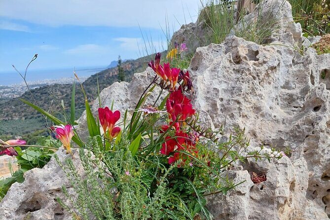 Half-Day Private Walking Tour along the Orthodox Gorge - Who Should Consider This Tour?