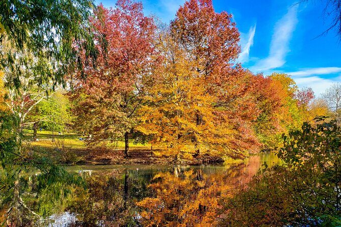 Half-Day Private Walking Tour of Central Park - What You Can Expect from This Tour