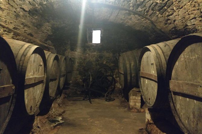 Half Day Private Wine & Oil Tasting Tour near Barcelona with hotel pick up - An In-Depth Look at the Experience