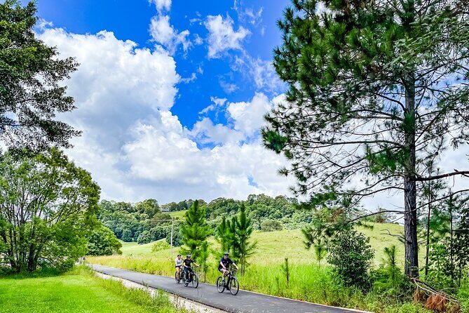 Half Day Private Wine Tasting Tour in Orange NSW - Final Thoughts: Is This Tour Worth It?