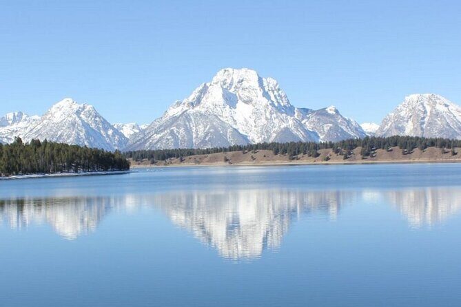 Half Day Private Winter Wildlife Tours in Jackson Hole - Key Points