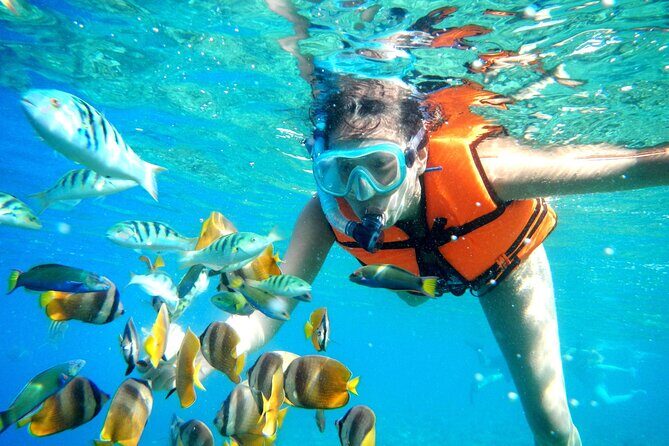Half-Day Puerto Morelos Snorkeling Experience with Lunch - What the Tour Promises