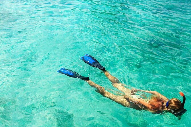 Half-Day Puerto Morelos Snorkeling Experience with Lunch - Critical Details for Planning