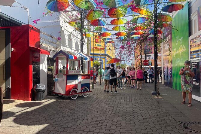 Half Day Puerto Plata City Tour and Monkey Home Visit - Final Thoughts: Who Will Love This Tour?