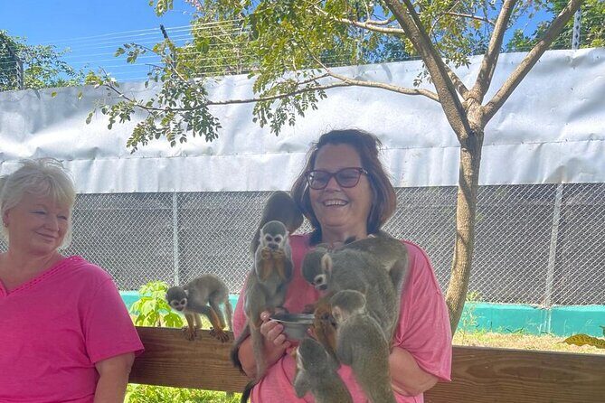 Half Day Puerto Plata City Tour and Monkey Home Visit - FAQ