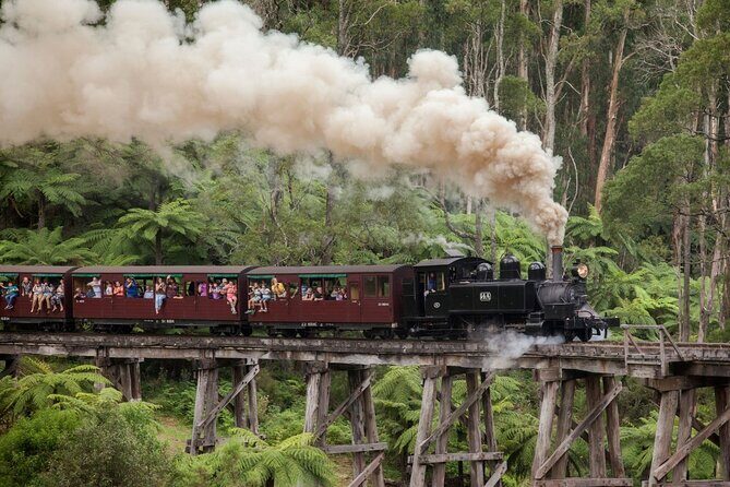Half-Day Puffing Billy Steam Train Experience w optional Penguins - The Combo Option: Penguins at Phillip Island