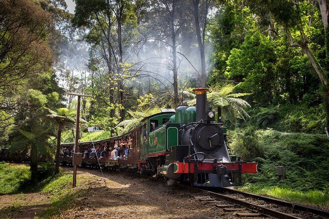 Half-Day Puffing Billy Steam Train Experience w optional Penguins - Authentic Experience for Curious Travelers