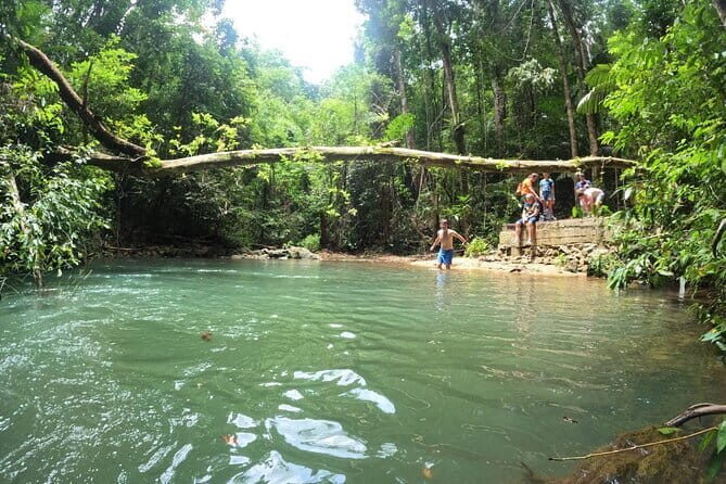 Half Day Rainforest and Waterfall Tour in Thailand - An In-Depth Look at the Rainforest and Waterfalls Tour