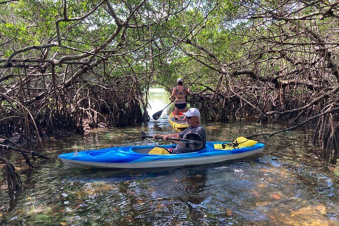 Half Day Rental to John's Pass Sandbar & Mangrove Tunnel - Exploring the Half Day Rental to Johns Pass Sandbar & Mangrove Tunnel