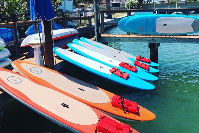 Half Day Rental to John's Pass Sandbar & Mangrove Tunnel - Key Points