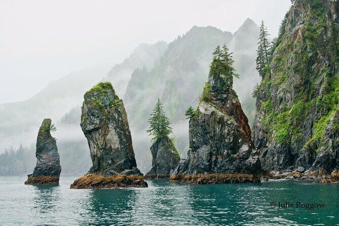 Half-day Resurrection Bay & Wildlife Tour from Seward - Why This Tour Works Well for Travelers