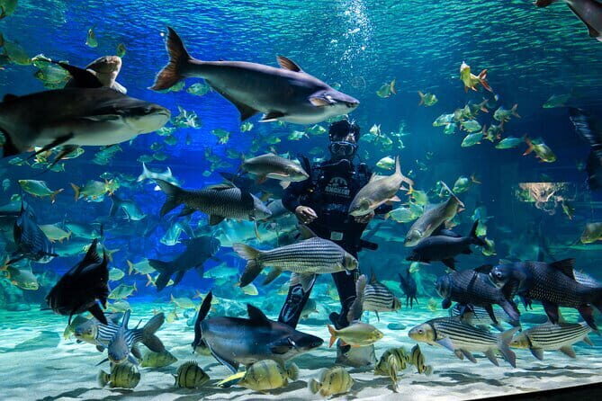 Half Day River Monster Tour with Private Guide in Siem Reap - Exploring Cambodia’s Aquatic Giants: The Half Day River Monster Tour in Siem Reap