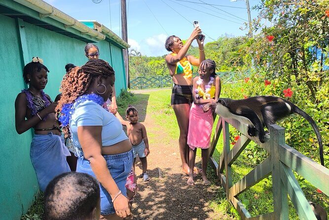 Half-day River Tubing, Rainforest, chocolate Rum in Grenada. - FAQ