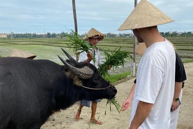 Half-Day Rural Adventure in Hoi An - Introduction