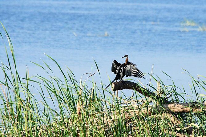 Half Day Safari at Bundala National Park - FAQ