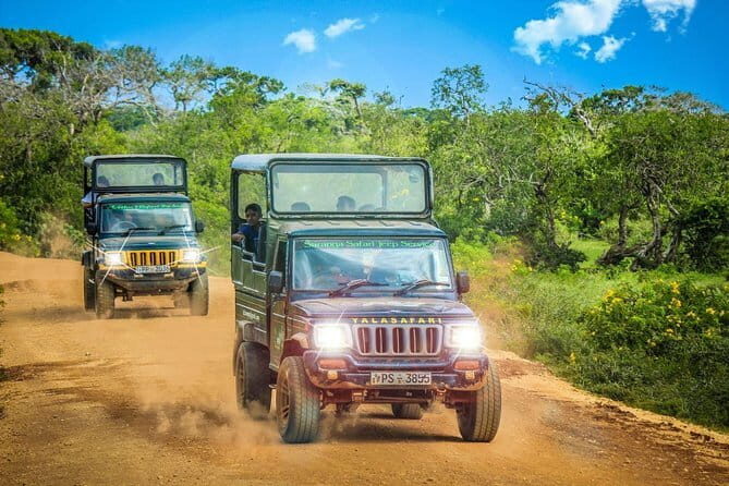Half Day Safari at Yala National Park From Kataragama - Who Should Consider This Safari?