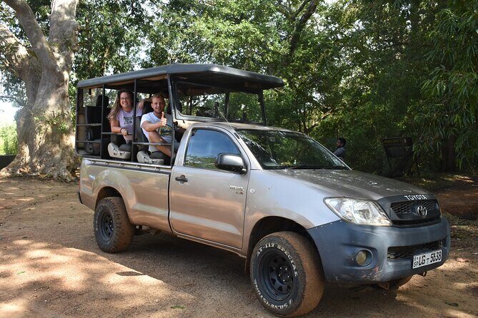 Half Day Safari Guided Tour - What to Expect During the Tour