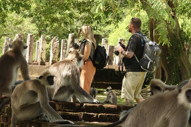 Half Day Safari Guided Tour - Who Should Book This?