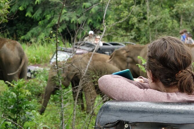 Half Day Safari Guided Tour - Final Thoughts