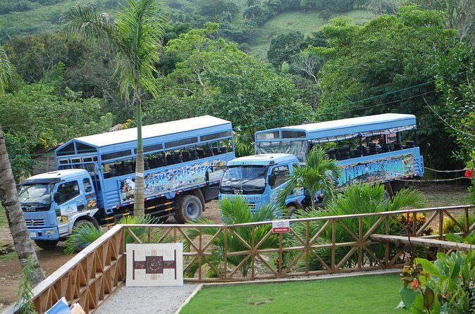 Half-Day Safari Tour from Punta Cana - An In-Depth Look at the Safari Experience