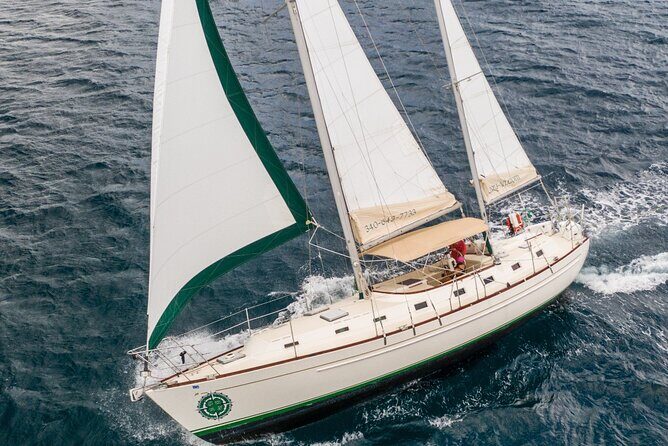 Half Day Sail and Snorkel with the Turtles - A Closer Look at the Tour Itinerary