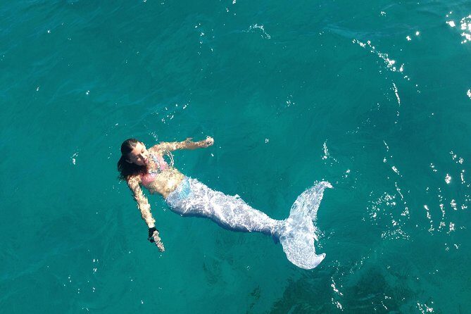 Half Day Sail and Snorkel with the Turtles - FAQs