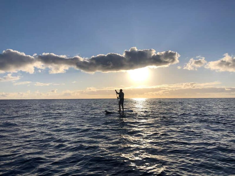 Half Day: Sailing, snorkeling and Stand up Paddle. - Introduction: Why This Tour Stands Out