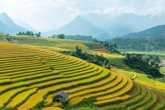 Half Day Sapa Cat Cat Explore Waterfall, Workshop, H'mong Local - Authenticity and Cultural Insights