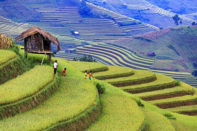 Half Day Sapa Cat Cat Explore Waterfall, Workshop, H'mong Local - The Sum Up
