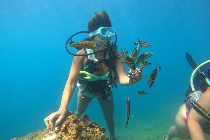 Half Day Scuba Diving @ Duden Waterfalls - Price and Value