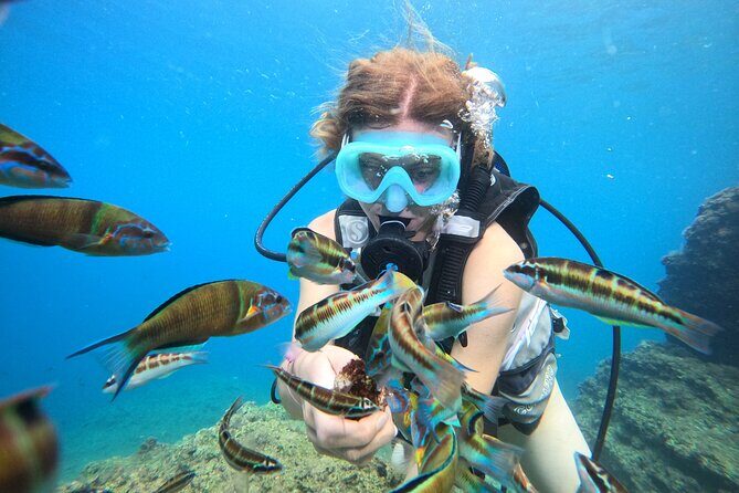 Half Day Scuba Diving @ Duden Waterfalls - Who Will Get the Most Out of This Tour