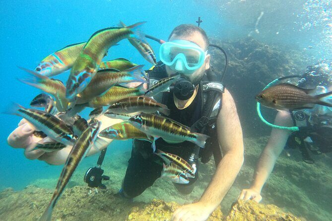 Half Day Scuba Diving @ Duden Waterfalls - The Sum Up: Is This Tour Worth It?