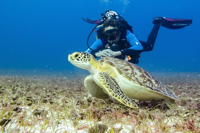 Half-Day Scuba Diving in Playa del Carmen for Small-Group - Practical Tips for Booking and Enjoying the Tour
