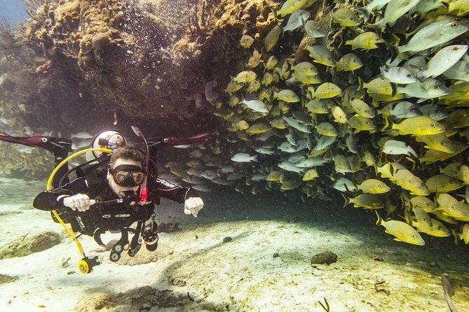 Half-Day Scuba Diving in Playa del Carmen for Small-Group - Summary: Is This Tour Right for You?